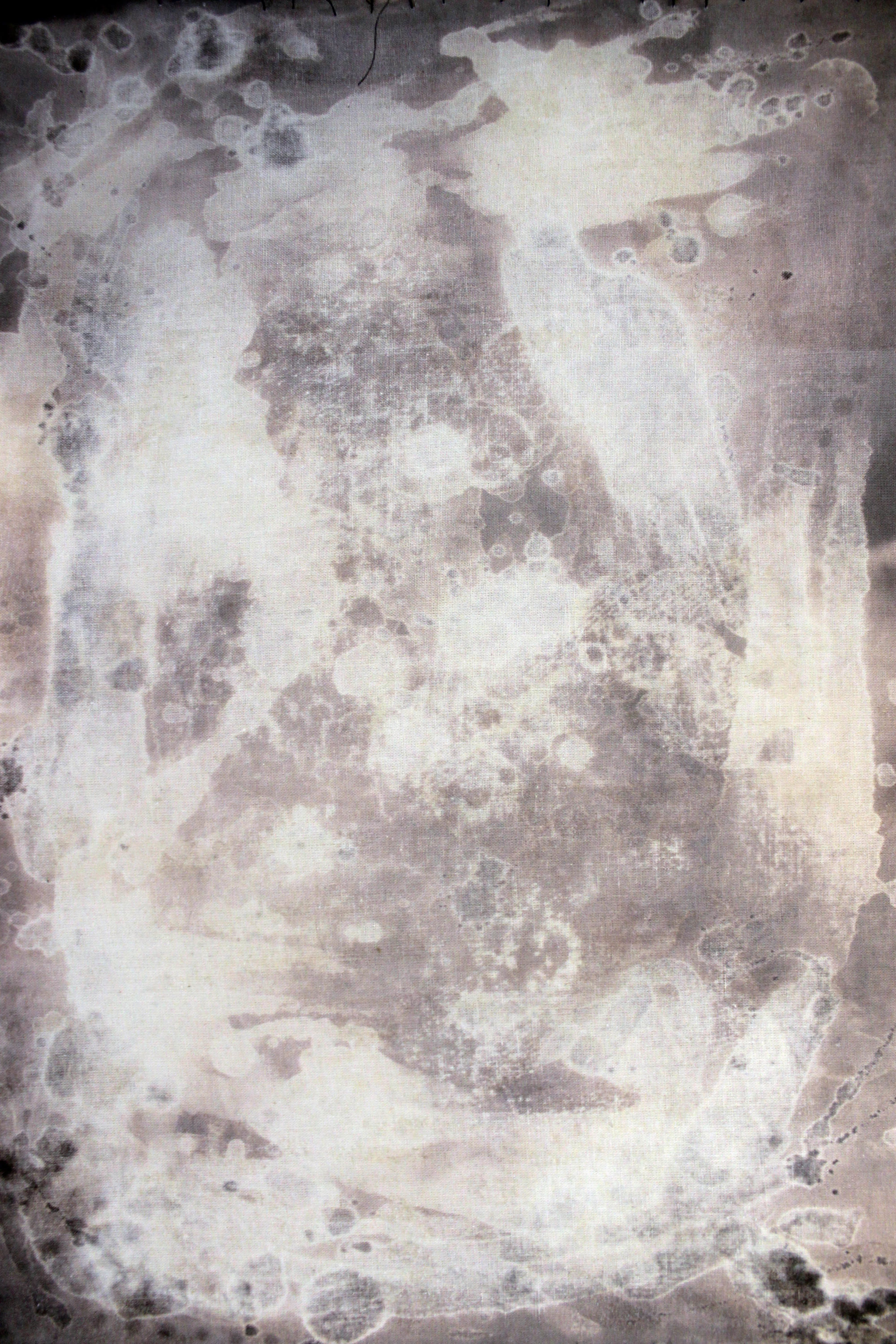 Clouds - Laura A Dima