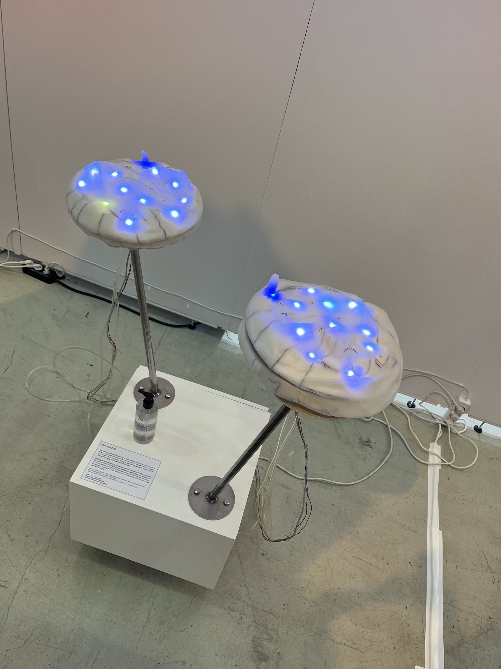 Consent Pods - Laura A Dima