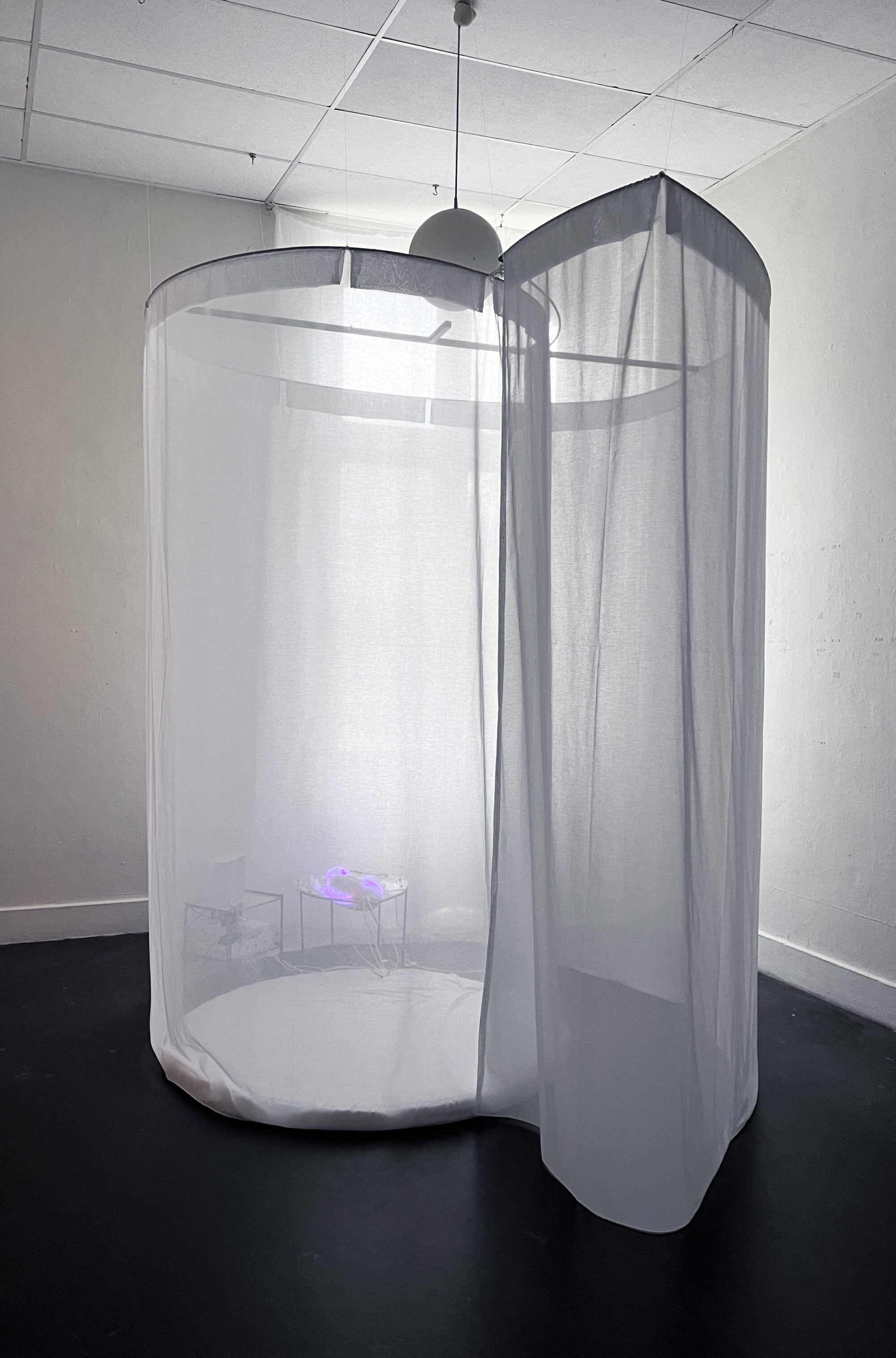 The Alien Between Us - Laura A Dima