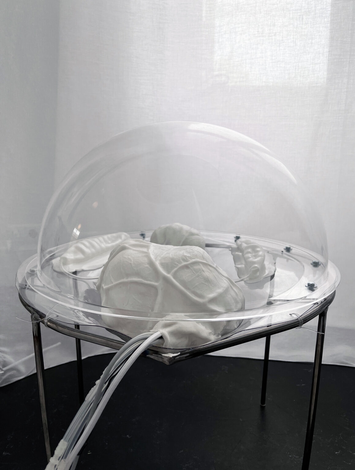 The Alien Between Us - Laura A Dima